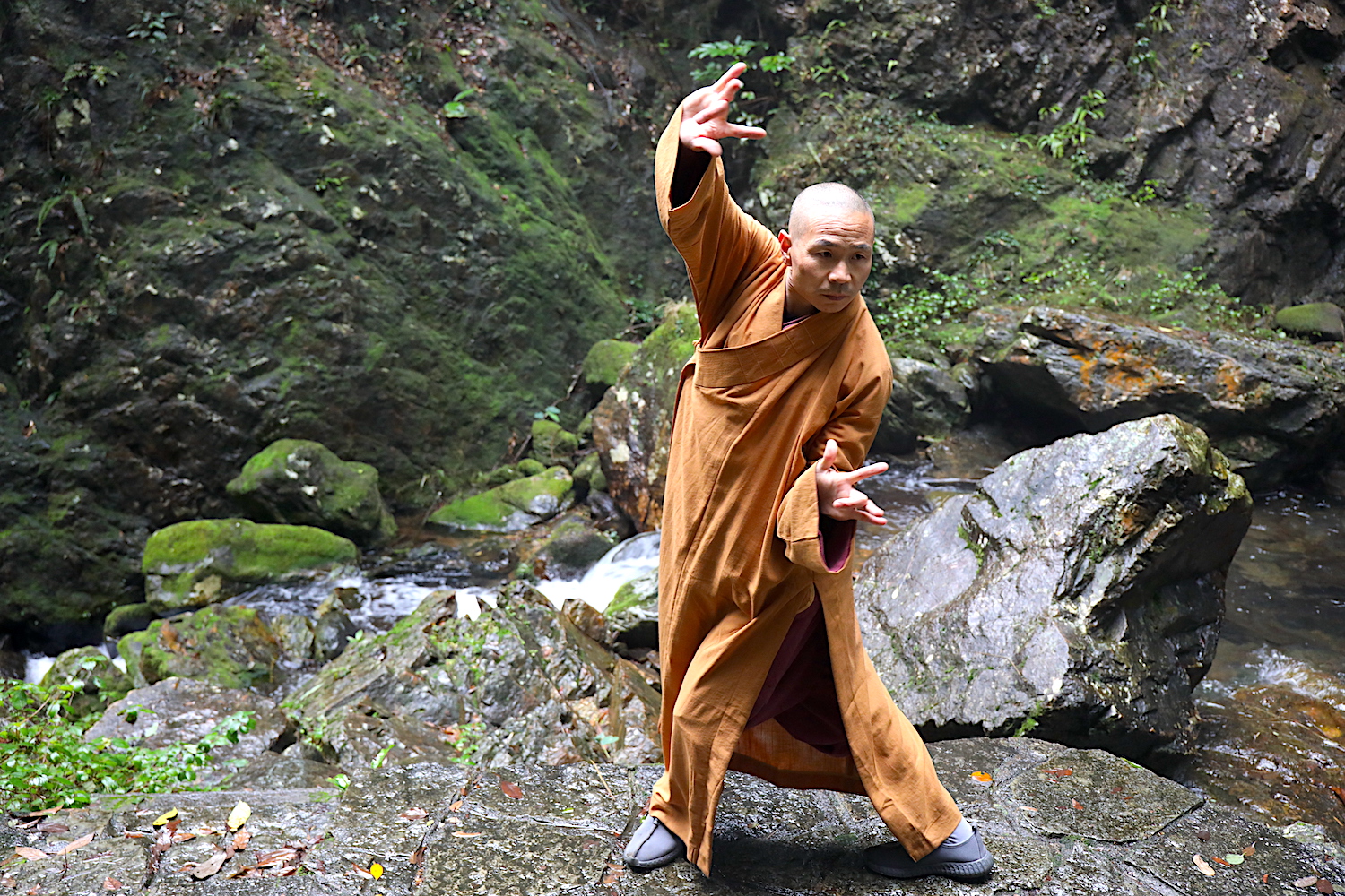 Animal Styles - Shaolin Temple Yunnan