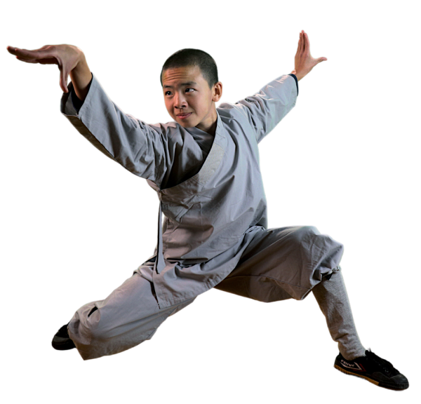 Animal Styles - Shaolin Temple Yunnan