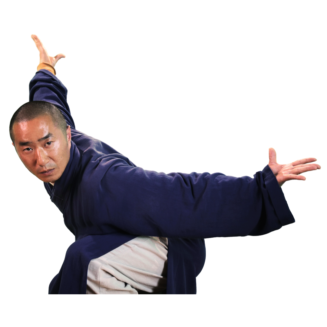 Animal Styles - Shaolin Temple Yunnan