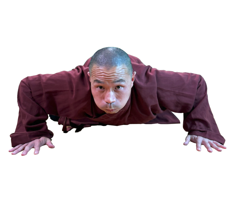 Animal Styles - Shaolin Temple Yunnan