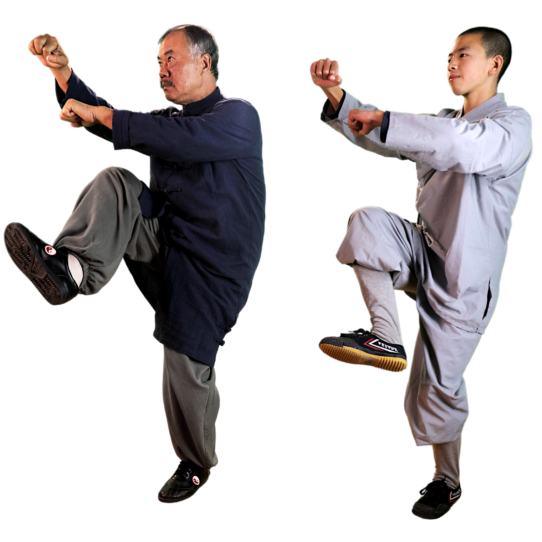 Animal Styles - Shaolin Temple Yunnan