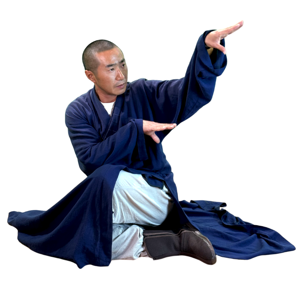 Animal Styles - Shaolin Temple Yunnan